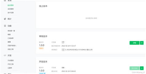 uni app项目的开发和发布流程（包括开发版、体验版、正式版） uniapp发布 csdn博客