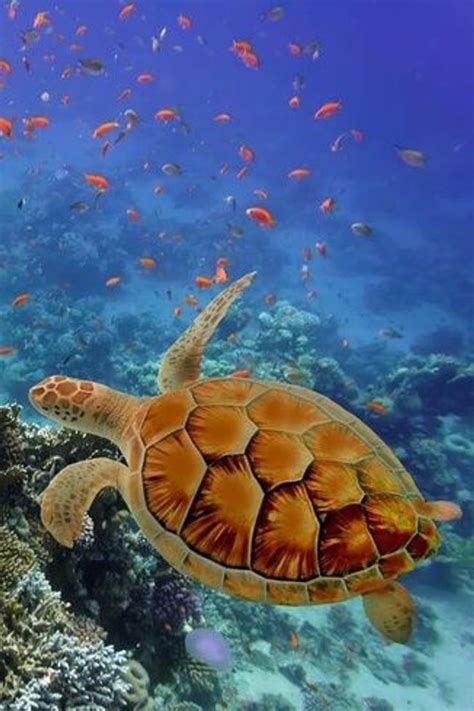 Best Caribbean Islands To Visit During Fall Artofit