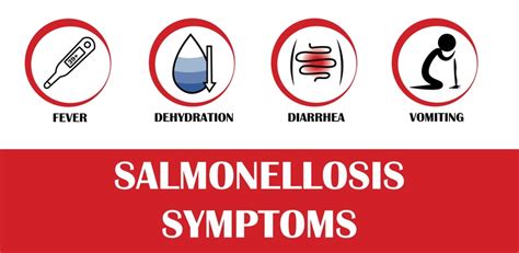 Salmonellosi Cos è Cause Sintomi e Cure Rivista La Salute