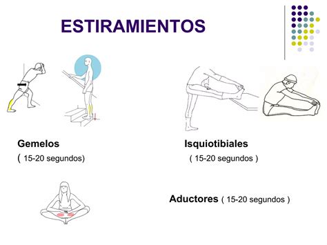 Calentamiento general y específico del voleibol PPT Descarga Gratuita