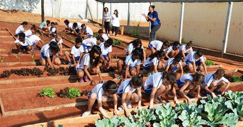 A importância da horta escolar