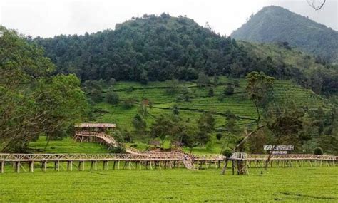 34 Rekomendasi Tempat Wisata Di Kabupaten Lumajang Yang Buka Saat Ini