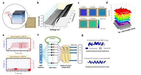 highly reliable dynamic memristor array for neuromorphic computing research communities by