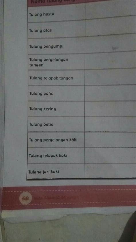 Contoh Surat Tulang Lengan Dan Fungsinya