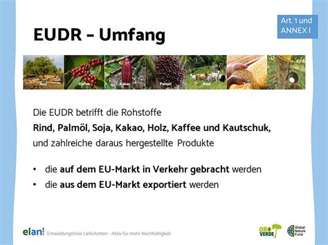 Entwaldungsfreie Lieferketten Neue EU Verordnung EUDR