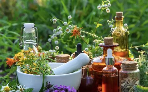 Condylomes Remèdes Naturels Conseils Causes et Symptômes