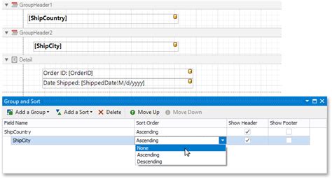 Group And Sort Panel NET Reporting Tools DevExpress Documentation