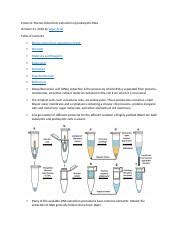 Protocol Phenol Chloroform Extraction Of Prokaryotic DNA Docx