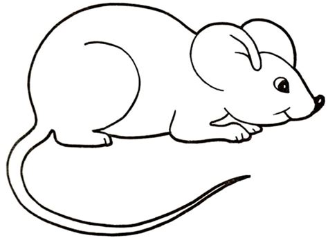 30 Desenhos De Ratinho Para Colorir Pop Lembrancinhas