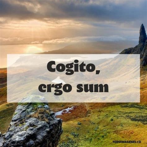 Frases en latín cortas y bonitas con su significado Todo imágenes