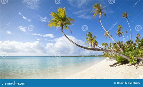 Vue Panoramique De Plage Blanche Tropicale De Sable Photo Stock Image