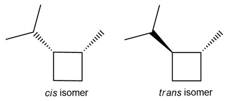 The Figure Below Shows A Cis Isomer And A Trans Isomer For Compou