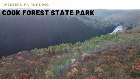 Cook Forest State Park Western PA Running Wolf Creek Track Club