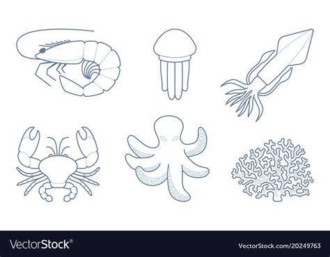 Sea Life Outlines