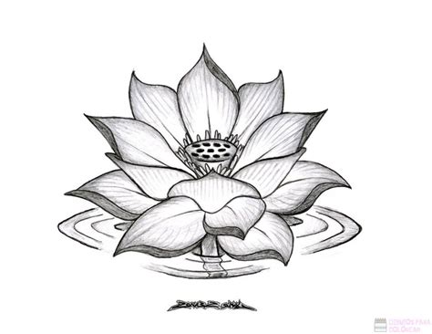 Dibujos De Flor De Loto Para Colorear Hoy