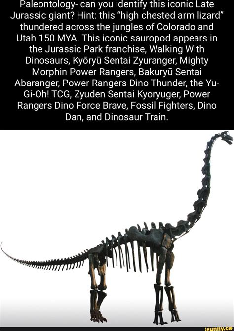 Paleontology Can You Identify This Iconic Late Jurassic Giant Hint