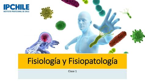 Fisiología y Fisiopatología Antonia Ortiz uDocz