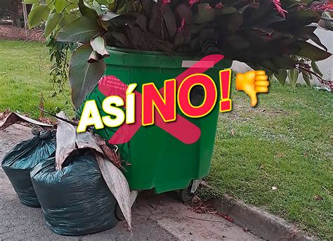 Cómo utilizar el Servicio de Recolección de Residuos Voluminosos