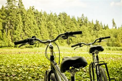 Ecoturismo qué es características y beneficios Naturalmente