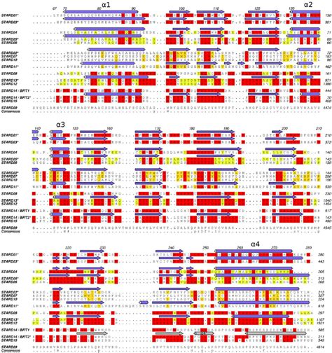Structure Based Sequence Alignment Illustrating Sequence Conservation