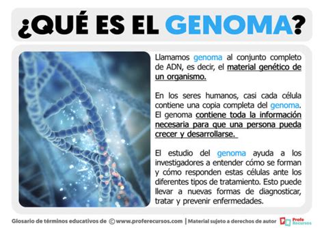 Qué es el Genoma Definición de Genoma