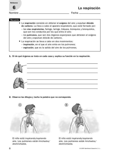 The Diagram Shows How To Read And Understand The Human Body S Organs In