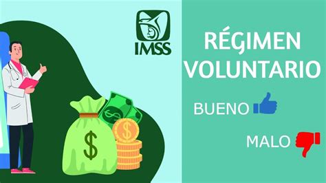 Régimen Voluntario del IMSS Tu Salud y Pensión Aseguradas YouTube