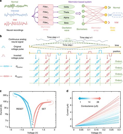 the implementation of memristor based neural signal analysis system a download scientific