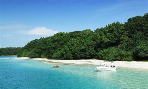 Pulau Peucang Surga Yang Belum Terjamah Di Ujung Kulon Cek Ricek