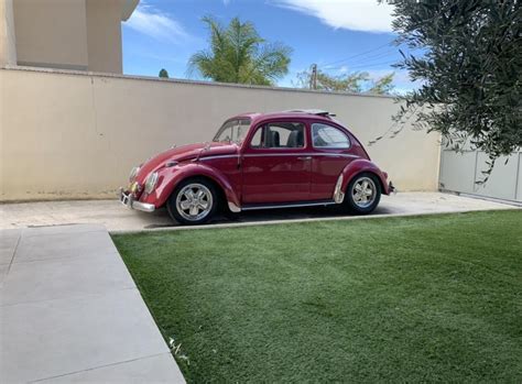 Thesamba Gallery Ragtop