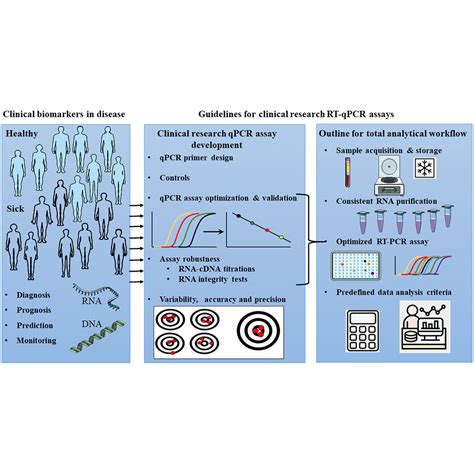 consensus guidelines for the validation of qrt pcr assays in clinical research by the cardiorna