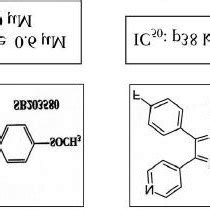 Structures Of Two P Kinase Inhibitors Two Pyridinyl Imidazole P