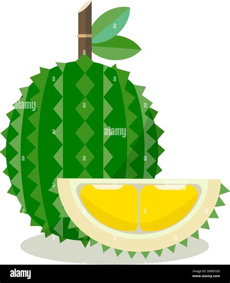 Durian With Fruits Isolated Background Vector Illustration Stock Vector