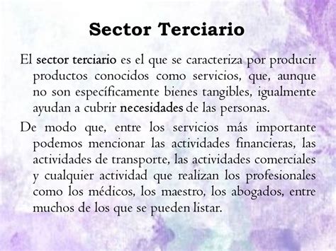 TOMi digital SECTORES DE LA ACTIVIDAD ECONÓMICA