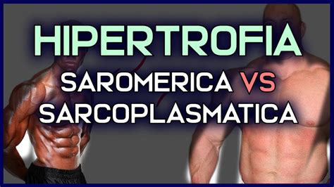 Hipertrofia Sarcomerica vs Hipertrofia Sarcoplasmatica Qué es y