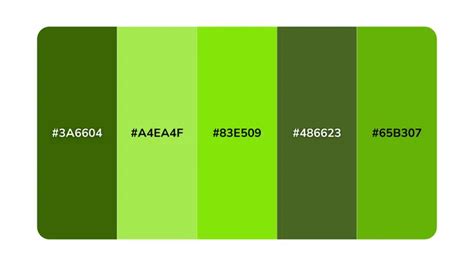 Paleta de Cores Verde 30 opções para se inspirar
