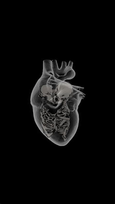 Share More Than 52 Skeleton Heart Wallpaper Latest In Cdgdbentre