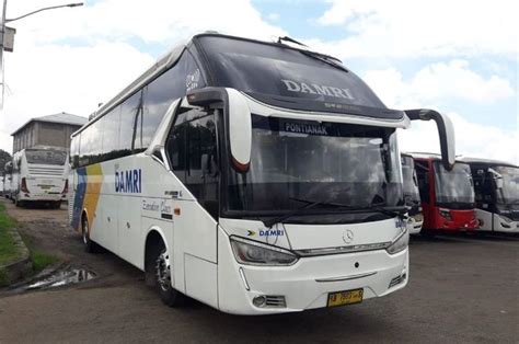 DAMRI Buka Lagi Layanan Bus Lintas Negara Bulan Depan Tiketnya Rp 1 1