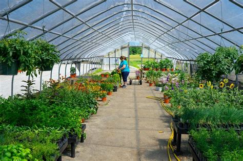 How To Start Container Gardening Beginners Guide