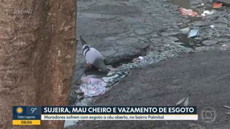 Vídeo Moradores sofrem esgoto a céu aberto no bairro Palmital em
