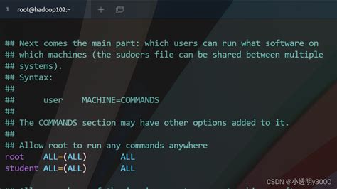 hadoop3 x 完全分布式搭建（详细） hadoop3 x的用户 csdn博客
