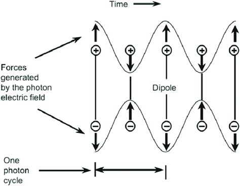 IR Absorption Induced Dipole Moment Modulation The Oscillating