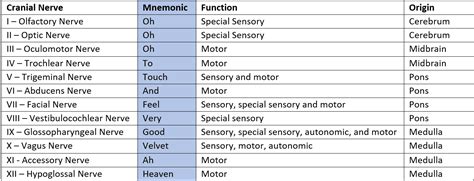 Cranial Nerves I Vi Simplemed Learning Medicine Simplified