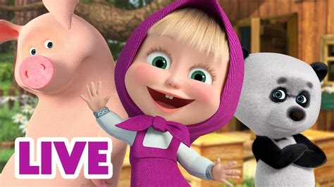 EN VIVO Masha Y El Oso Castellano Las Aventuras De Masha Y Sus