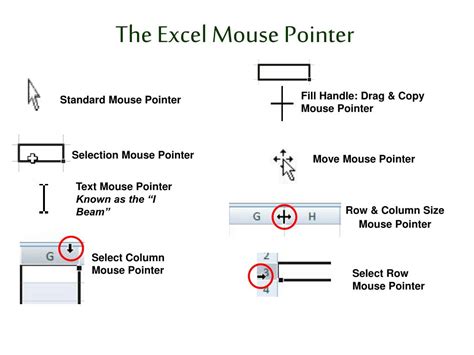 ppt introduction to excel 2007 powerpoint presentation free download id 7055645