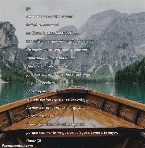 Cinco Mejores Poemas Para Dedicar A La Persona Que Te Gusta Poemas Online