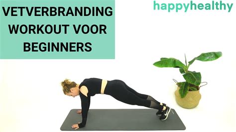 14 Minuten Beginner VETVERBRANDING WORKOUT Thuis Training YouTube