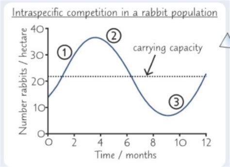 Populations In Ecosystems Flashcards Quizlet