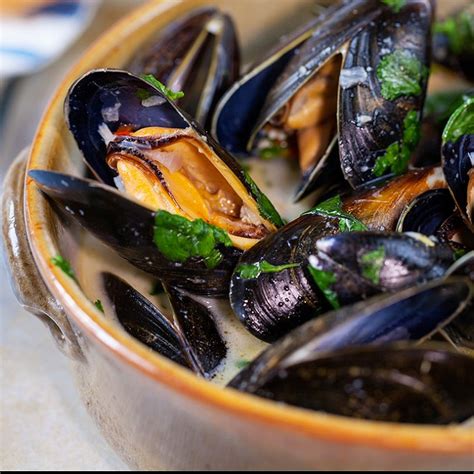 Recette Moules Au Vin Blanc Facile Rapide