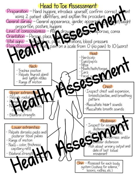 Head To Toe Assessment Chart